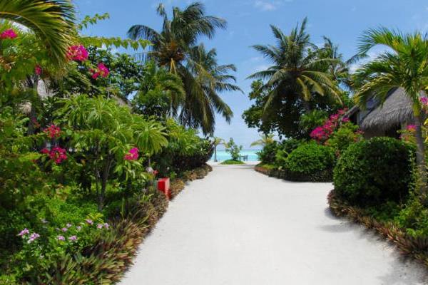 Resorts in the Maldives - Complete Collection